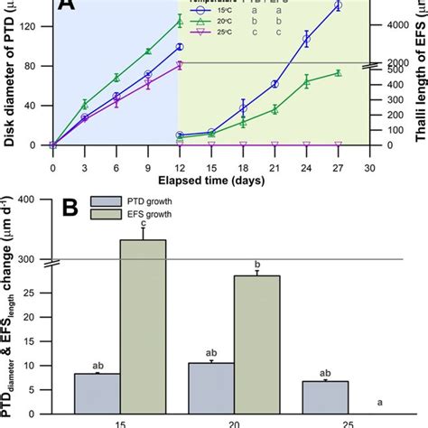Thallus Organization In Ulva A Ulva Thallus B Cell Organization In Download Scientific