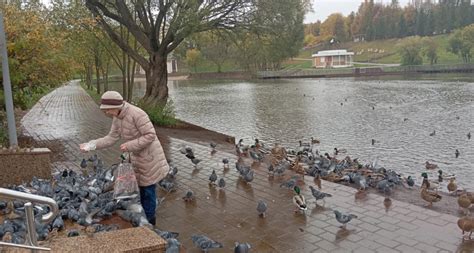 Немец не поверил что пенсия в РФ 200 евро сколько получают пенсионеры в Германии