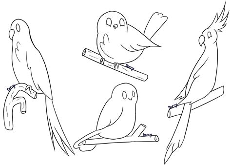 Bird Bases By BlueberryShortStack On DeviantArt