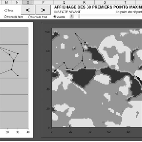 Interactive Visualization Of The Trajectory Of Each Individual Through
