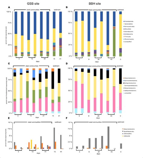 High Throughput Amplicon Sequencing Data For Gsb Saltmarsh And Bbh Download Scientific