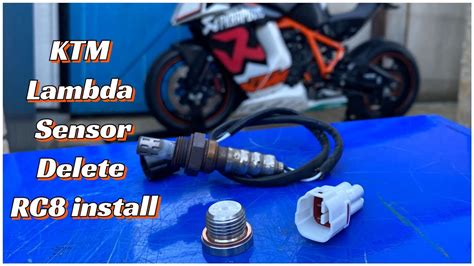 Oxygen Sensor Delete Kit At Nicole Bentley Blog