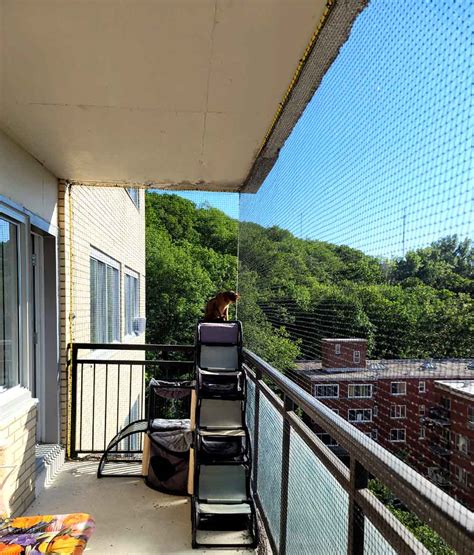 Cat Netting By The Metre Black Catnets Singapore