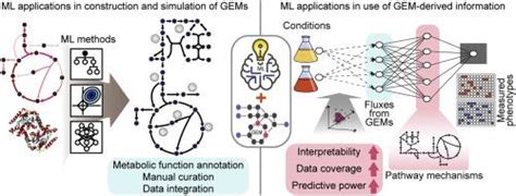 机器学习在基因组规模代谢建模中的应用 Current Opinion In Systems Biology X Mol