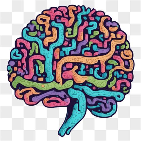 Download Colorful Brain Model Illustrating Structure And Functions