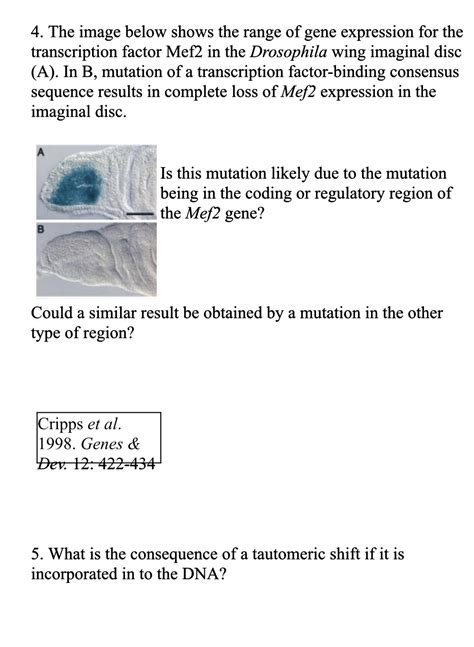 solved please answer these questions