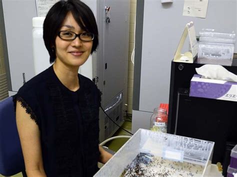 アリの世界にも「孤立死」がある 原因遺伝子を探す研究者：朝日新聞globe＋