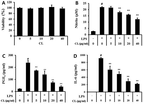 International Journal Of Molecular Medicine