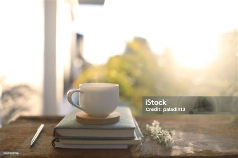 화이트 커피 컵과 자연 햇빛이 있는 나무 테이블에 노트북 아침에 대한 스톡 사진 및 기타 이미지 아침 다이어리 커피 마실 것 Istock