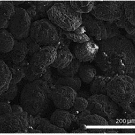 Scanning Electron Micrograph Of The Scaffold Microstructure Download