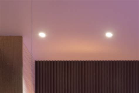 Shadow Issue Version 19 Tech Support D5 Render Forum