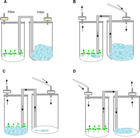 Two‐flask Bioreactor A The Liquid Medium Is In A Separate Flask From