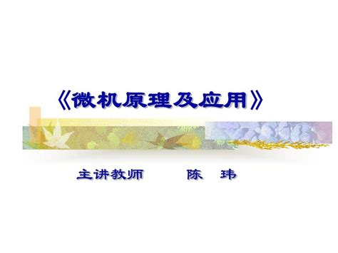 微处理器及其体系结构060927word文档在线阅读与下载无忧文档