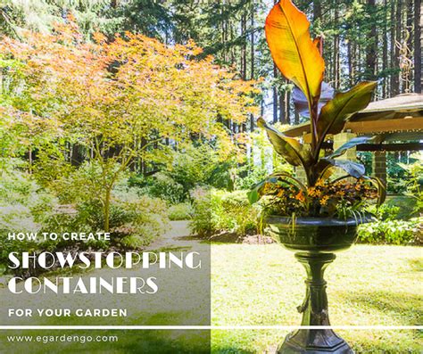 How To Design Show Stopping Container Garden