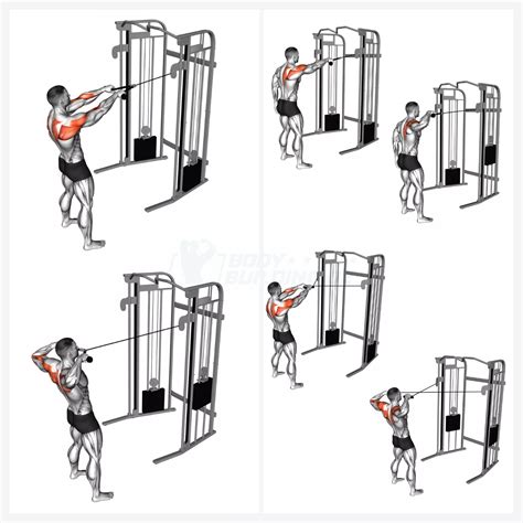 Face Pulls Sitzend And Stehende Varianten Der Schulterübung