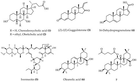 Structure Optimization Of 12β O γ Glutamyl Oleanolic Acid Derivatives Resulting In Potent Fxr