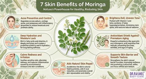 7 Skin Benefits Of Moringa Youll Wish You Knew Sooner Dr Rashel
