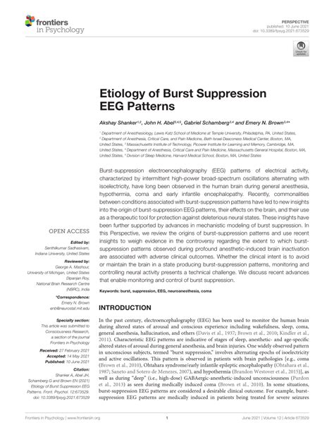 Pdf Etiology Of Burst Suppression Eeg Patterns