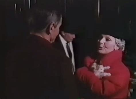 Christmas Eve 1986 Cinema Cats