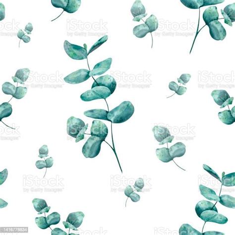 유칼립투스 나뭇 가지가있는 완벽한 우아한 수채화 패턴 향기로운 스파의 큰 세트에서 유칼립투스에 대한 스톡 벡터 아트 및 기타 이미지 유칼립투스 추상적인 흰색 배경
