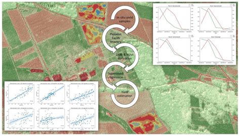 Remote Sensing Free Full Text Exploring The Potential Of Multi Temporal Crop Canopy Models