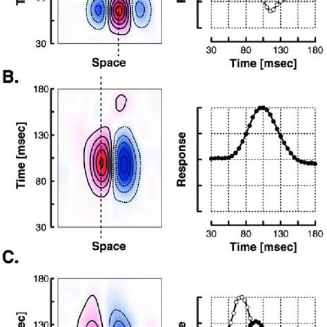 Spatiotemporal Receptive Fields For Different Classes Of Simple Striate