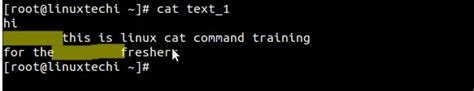 16 Cat Command Examples For Beginners In Linux