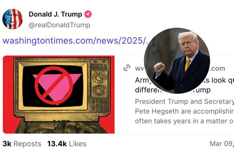 What Is ‘pink Triangle Trump Truthing Nazi Era Symbol Sparks Lgbtq Anger Newsweek