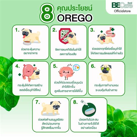 Orego สารเสริมอาหารบํารุงระบบทางเดินอาหาร แก้ปัญหาถ่ายเหลว Best Equipment Center Co Ltd Bec