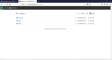 Svn Server Setup Test Bunksallowed