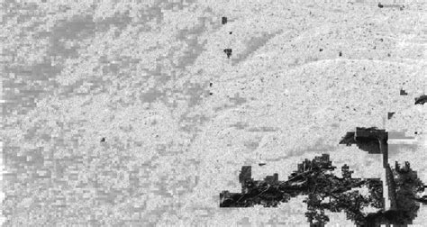 Transition Up From Oncolite Poor Right Into Oncolite Rich Left