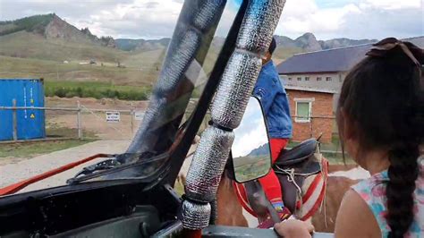 Өвөл эмээлтэй хазаартай уяхан дээр байхад нь алдсан морь минь олдлоо Цаг цөвүүн болсон юм байна