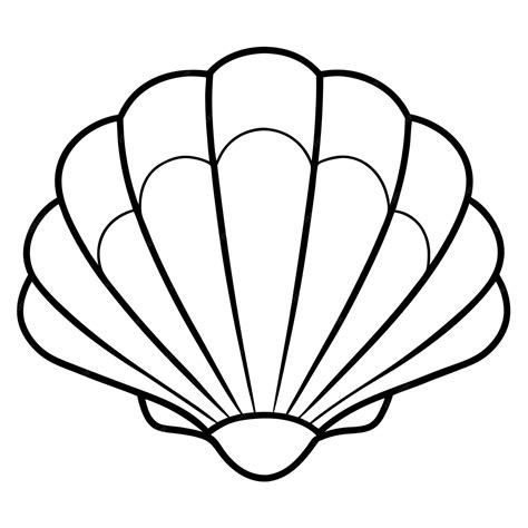 Seashell Outline Coloring Book Page Line Art Drawing Premium Ai