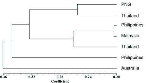 Phenogram Based On Aflp Molecular Markers After Huang Et Al 2009 Download Scientific Diagram