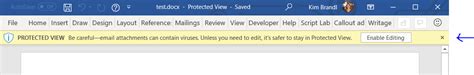 Officejs Addin Doesnt Load In Word For Mac · Issue 602 · Officedev