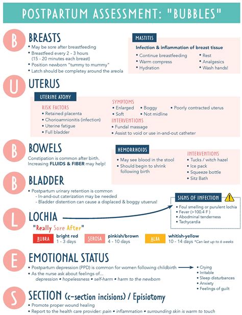 Postpartum Assessment Bubbles Nursing Framework Symptoms And Care
