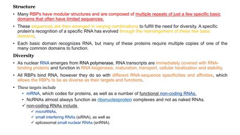 RNA Protein Interactions Brief Pptx Programming Languages Computing