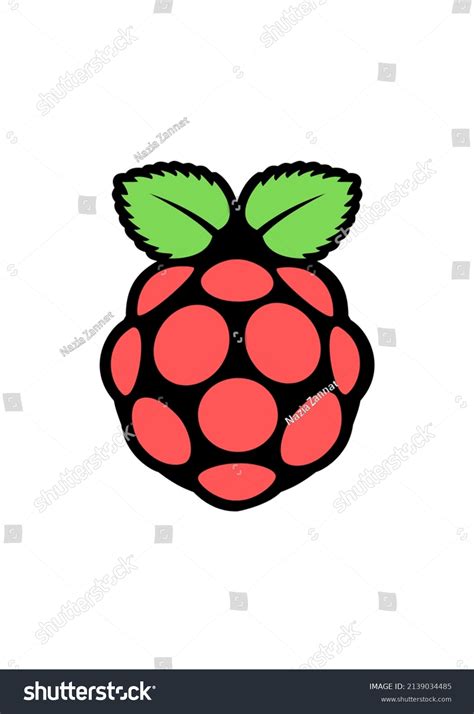 Raspberry Pi Logo