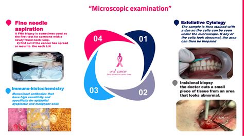 Early Cancer Detection Oral Cancer Pdf Dental Health Diseases And Conditions