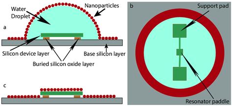 Schematic Of Self Assembly Of Nanoparticles Not To Scale A Side Download Scientific