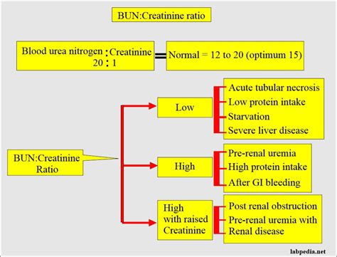 Bun And Creatinine Normal Ranges Resseazy