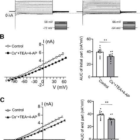 Transient Inward Currents Evoked At The Nr Of Lumbar Spinal Ventral Download Scientific Diagram