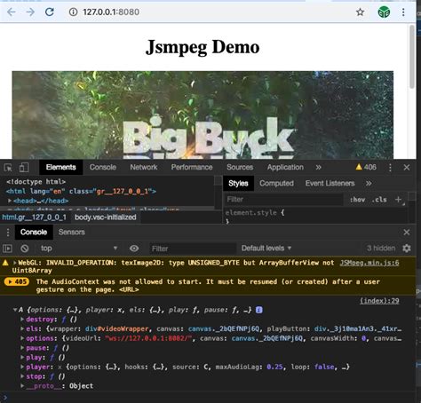 Websocket Video Possible Garbage Data · Issue 13 · Cycjimmyjsmpeg