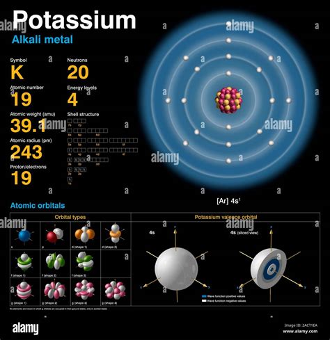 Potassium Orbital Diagram Orbital Diagram For Potassium — Untpikapps