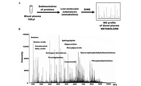 Mass Spectrum Of Elementary Particles 81 фото