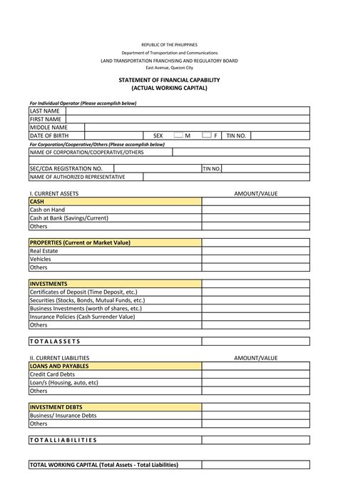 Editable 39 Effective Capability Statement Templates Examples