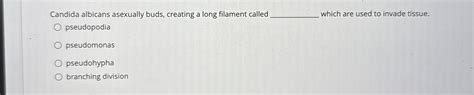 Solved Candida Albicans Asexually Buds Creating A Long