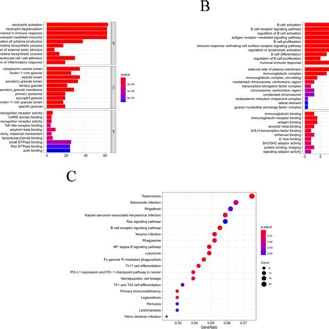 Functional Enrichment Analysis Of The Genes In The Key Modules Go