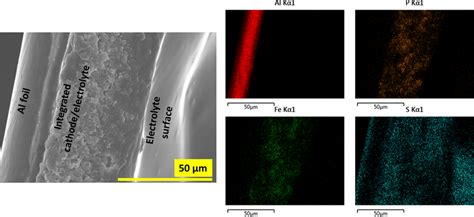 Cross‐sectional Scanning Electron Microscopy Sem Image Of The