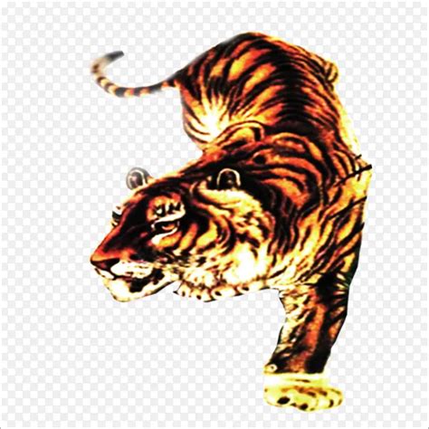 老虎png图片素材下载图片编号9667602 Png素材网 老虎png图片素材下载图片编号9667602 Png素材网